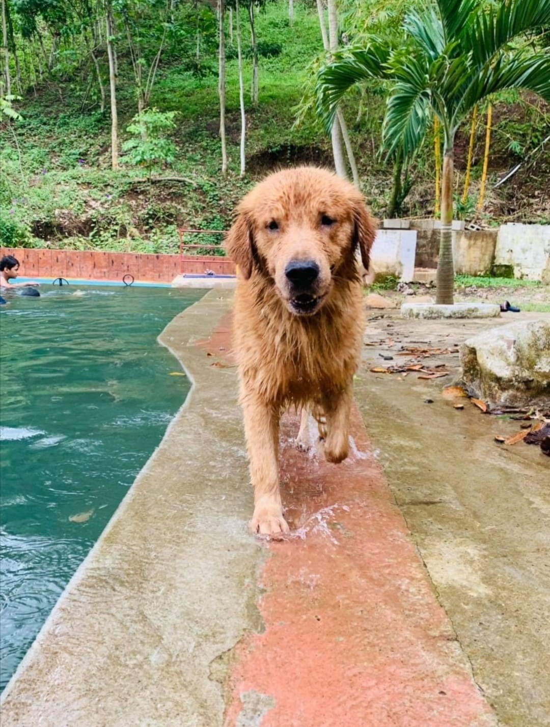 Eco Parque Canino